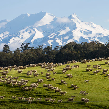 Slippers size chart - Find the perfect pair of slippers – glerups.com