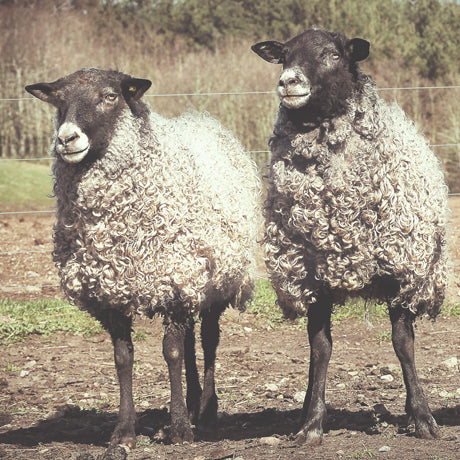 Slippers size chart - Find the perfect pair of slippers – glerups.com